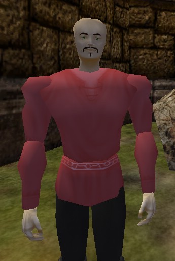 Journeyman Cook (Neydisa Castle) - leaftidewiki